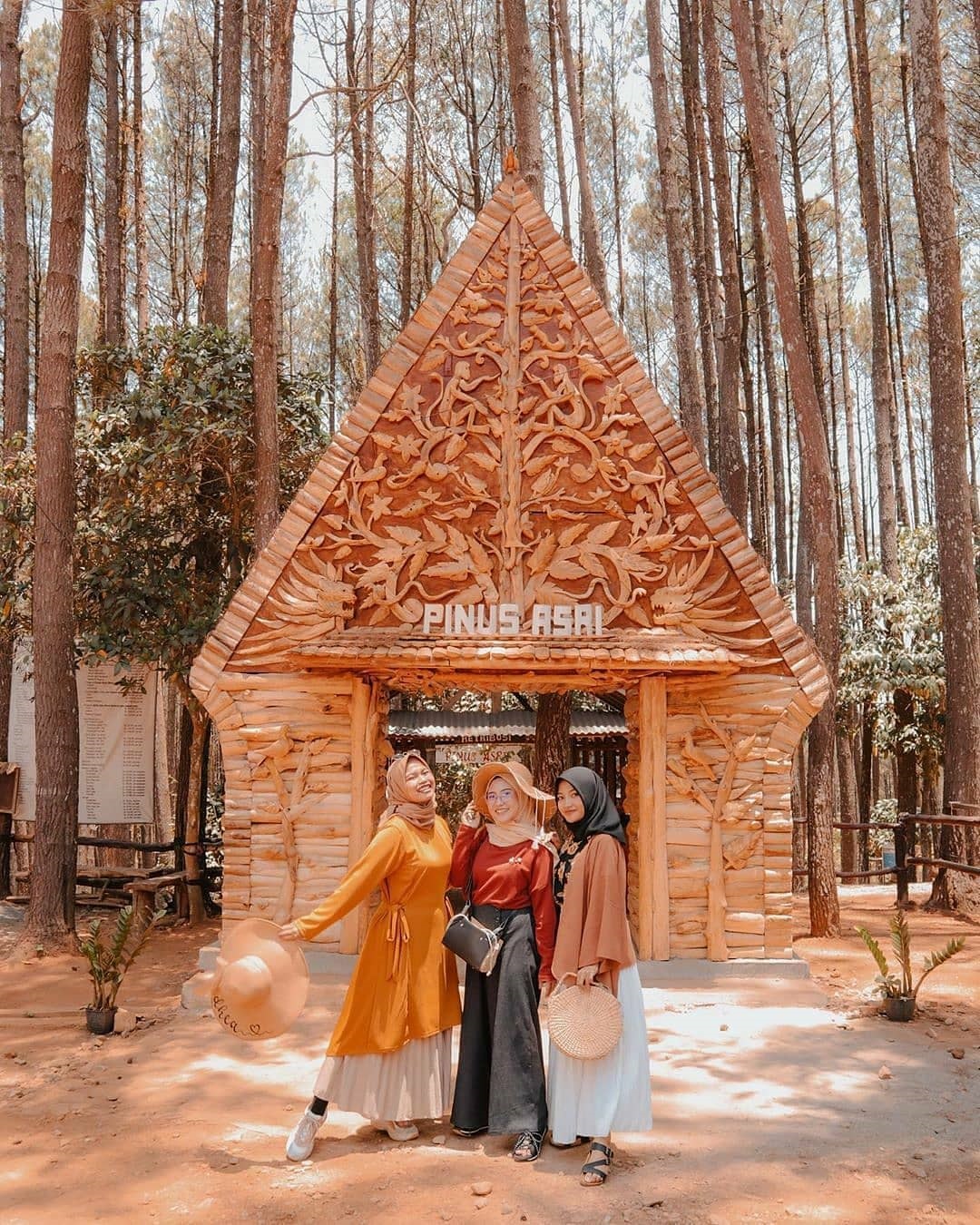 Hutan Pinus Mangunan : Lokasi, Rute, HTM, Foto