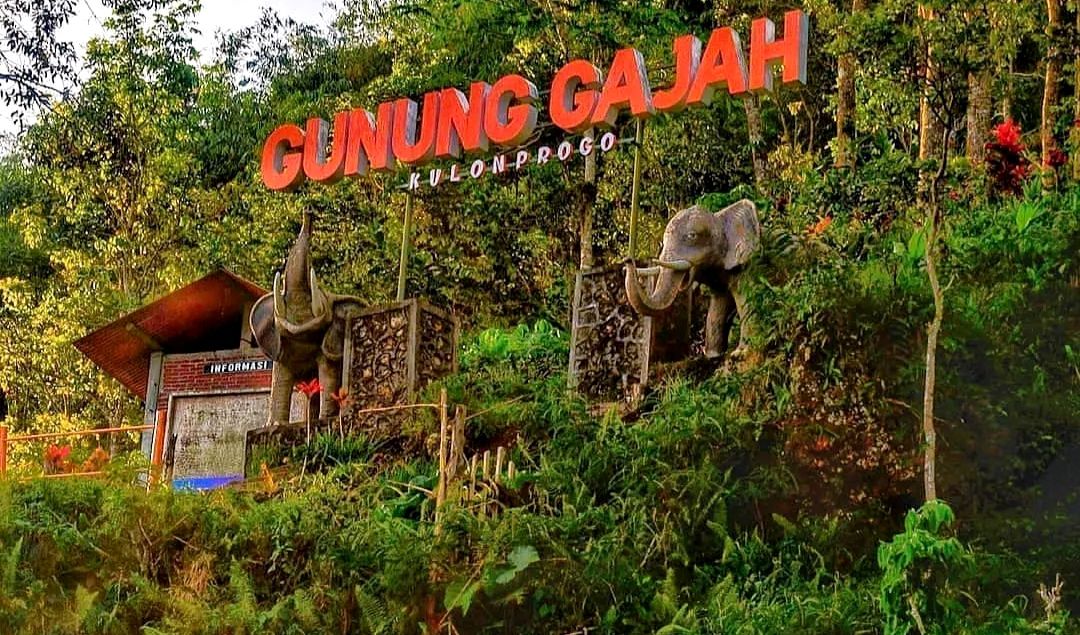 Wisata Tebing Gunung Gajah : Lokasi, HTM, Foto